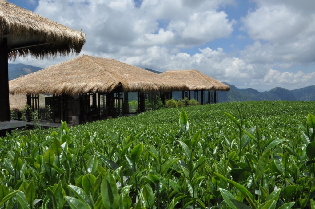 Art of Transformation Through Light OxidationThe Influence of Taiwanes ...