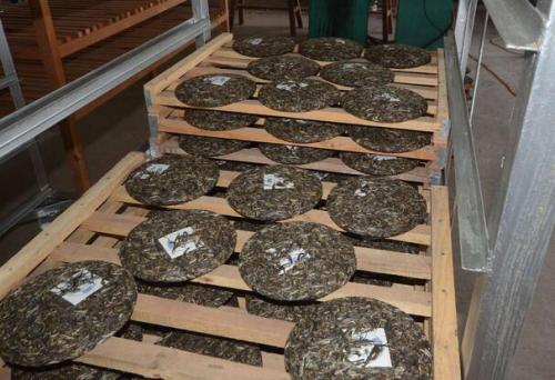 Notes From A Journey Mengku Tea Inspection: King Wild Teasin Daxue Sha ...