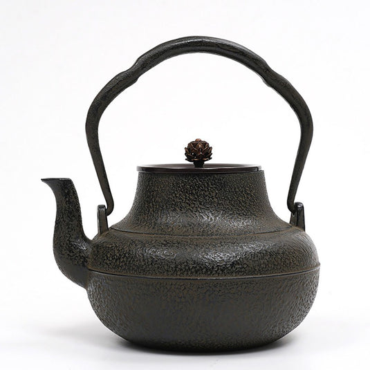 Japanese Tetsubin Cast Iron Teapot – Umi Tea Sets
